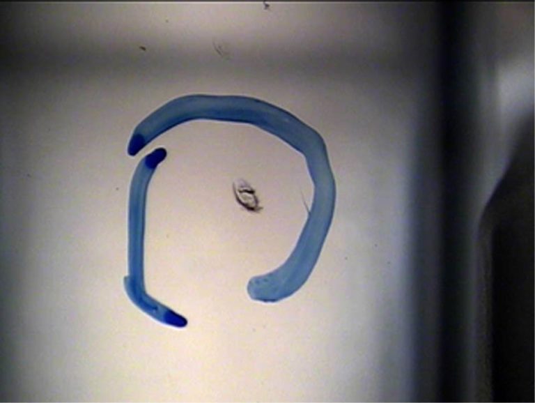 CRACK PREVENTION & PROCESS CONTROLS IN PREFILLABLE SYRINGE ...