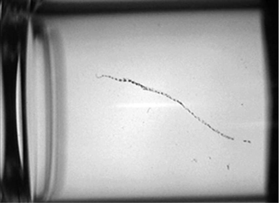 CRACK PREVENTION & PROCESS CONTROLS IN PREFILLABLE SYRINGE ...