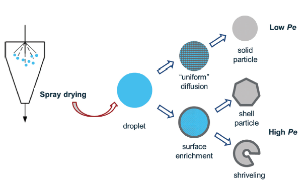 DESIGN OF COMPOSITE PARTICLES VIA SPRAY DRYING FOR DPI FORMULATIONS ...