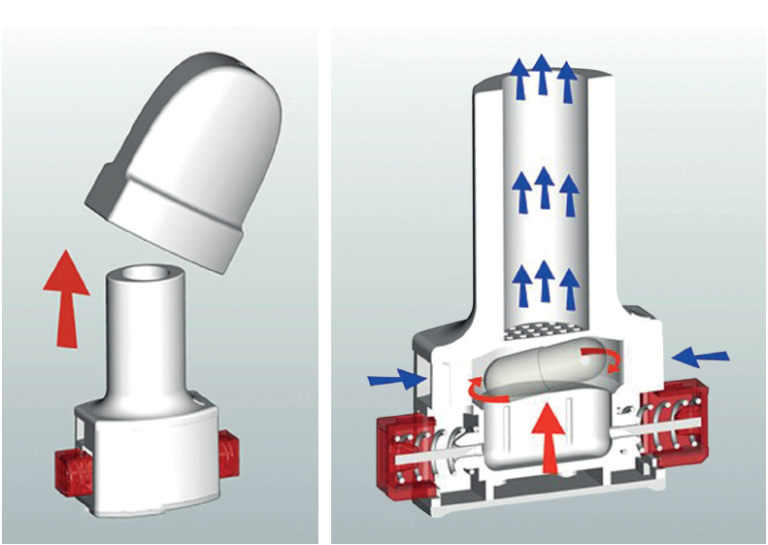 THE SCIENCE BEHIND CAPSULE-BASED DRY POWDER INHALATION TECHNOLOGY ...