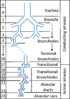 THE SCIENCE BEHIND CAPSULE-BASED DRY POWDER INHALATION TECHNOLOGY ...