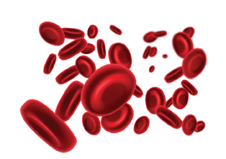 ADVANCING ASPRIHALE® TO PIVOTAL PK/PD STUDY | ONdrugDelivery