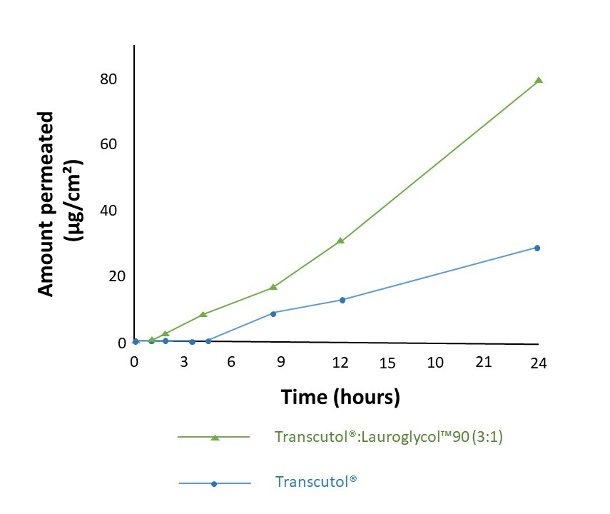 SYNERGISING EXCIPIENTS TO BOOST SKIN DELIVERY - ONdrugDelivery