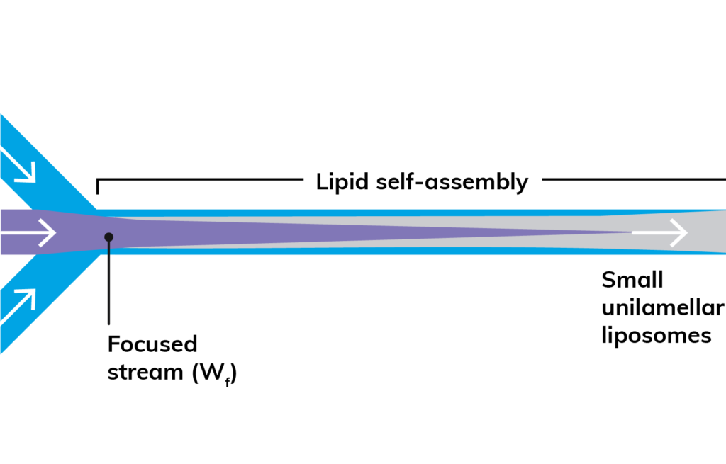 AUTOMATED LIPID NANOPARTICLE PRODUCTION: FROM PROTOCOL DEVELOPMENT TO ...