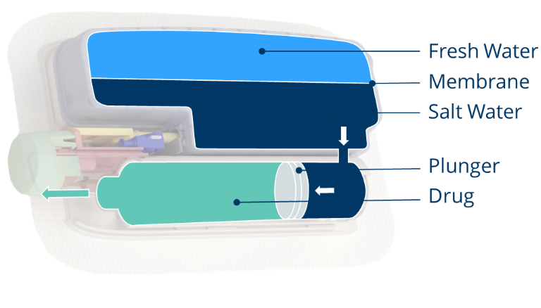 MEETING EMERGING STAKEHOLDER NEEDS WITH THE SUBCUJECT WEARABLE BOLUS ...