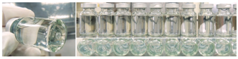 OXYCAPT: SUPERIOR PRIMARY CONTAINERS FOR BIOLOGICS AND GENE AND CELL ...