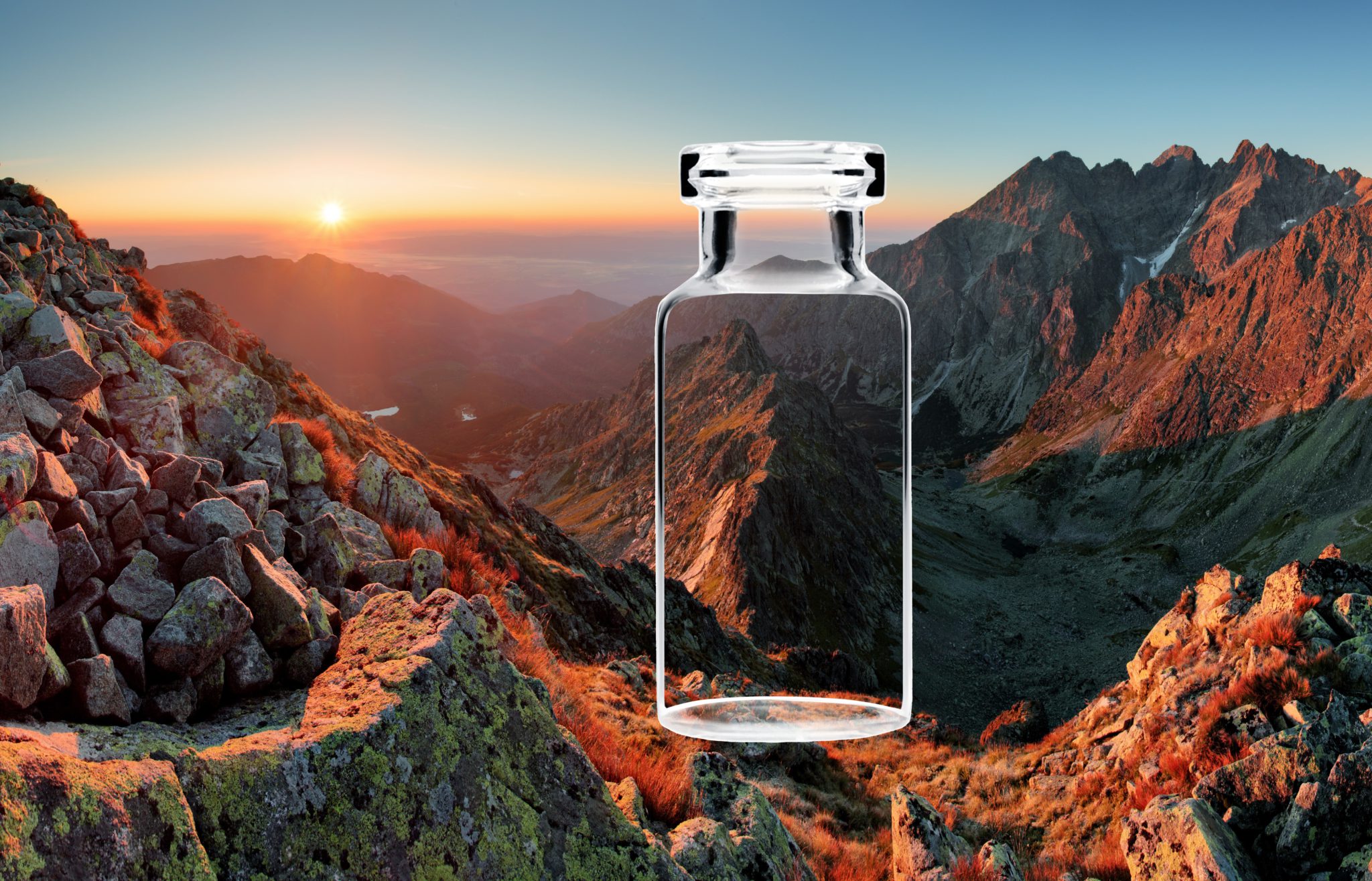 THE EVOLUTION OF THE PHARMA ECOSYSTEM: PRODUCT PERFORMANCE NOW MEETS ...