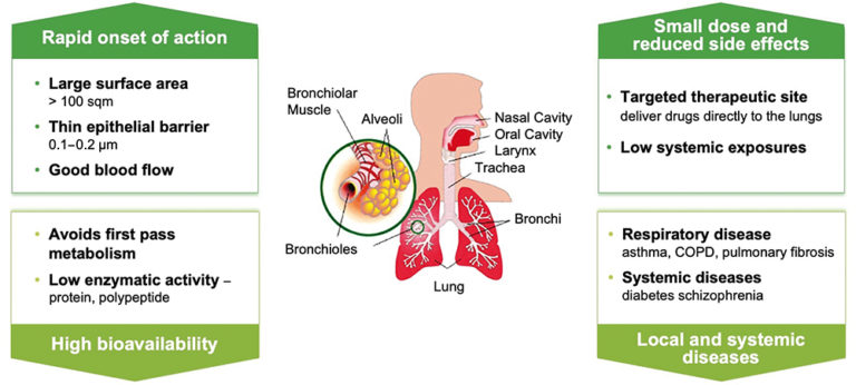 DEVELOPING AN INHALABLE FORMULATION OF THE FIRST GENERATIVE AI DRUG ...