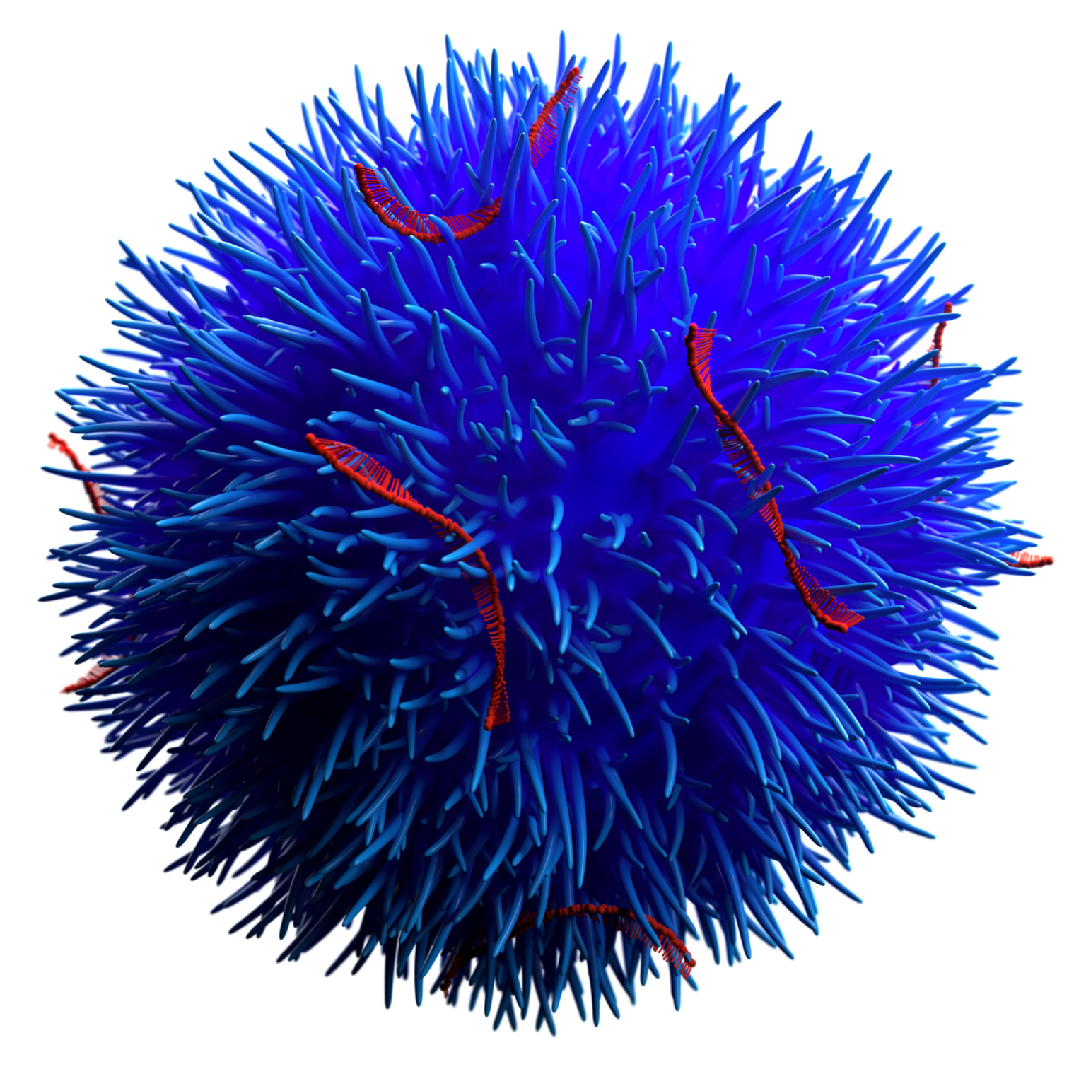 ARE ORAL FORMULATIONS OF OLIGONUCLEOTIDE THERAPEUTICS WITHIN REACH ...